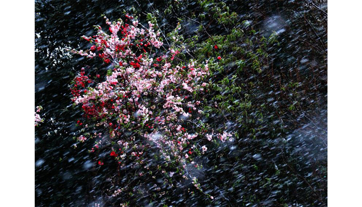 大阪南港ATC ギャラリー | アートに「触れて・考え・繋げる」WEBマガジン BuzzArt